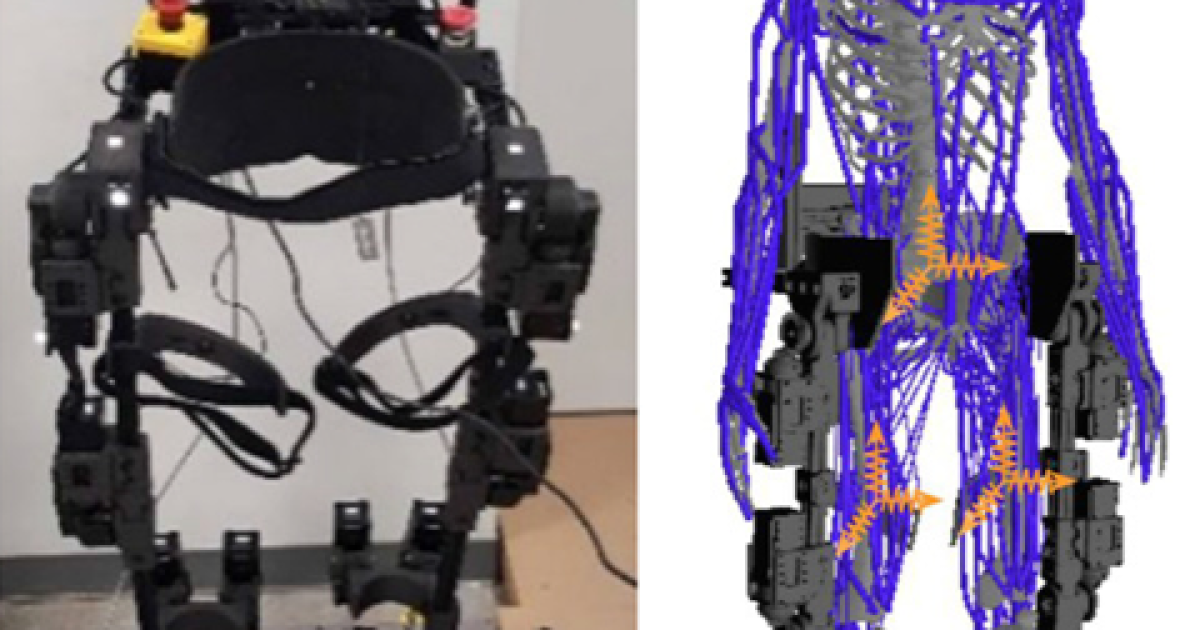 Advanced Universal Control System May Revolutionize Lower Limb ...